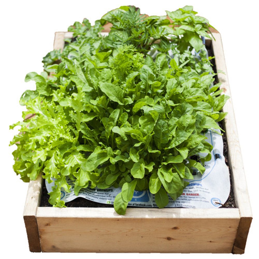 UrbMat Urban Growing Kit - IPPINKA