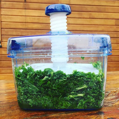 Quick Rectangular Pickle Press - IPPINKA